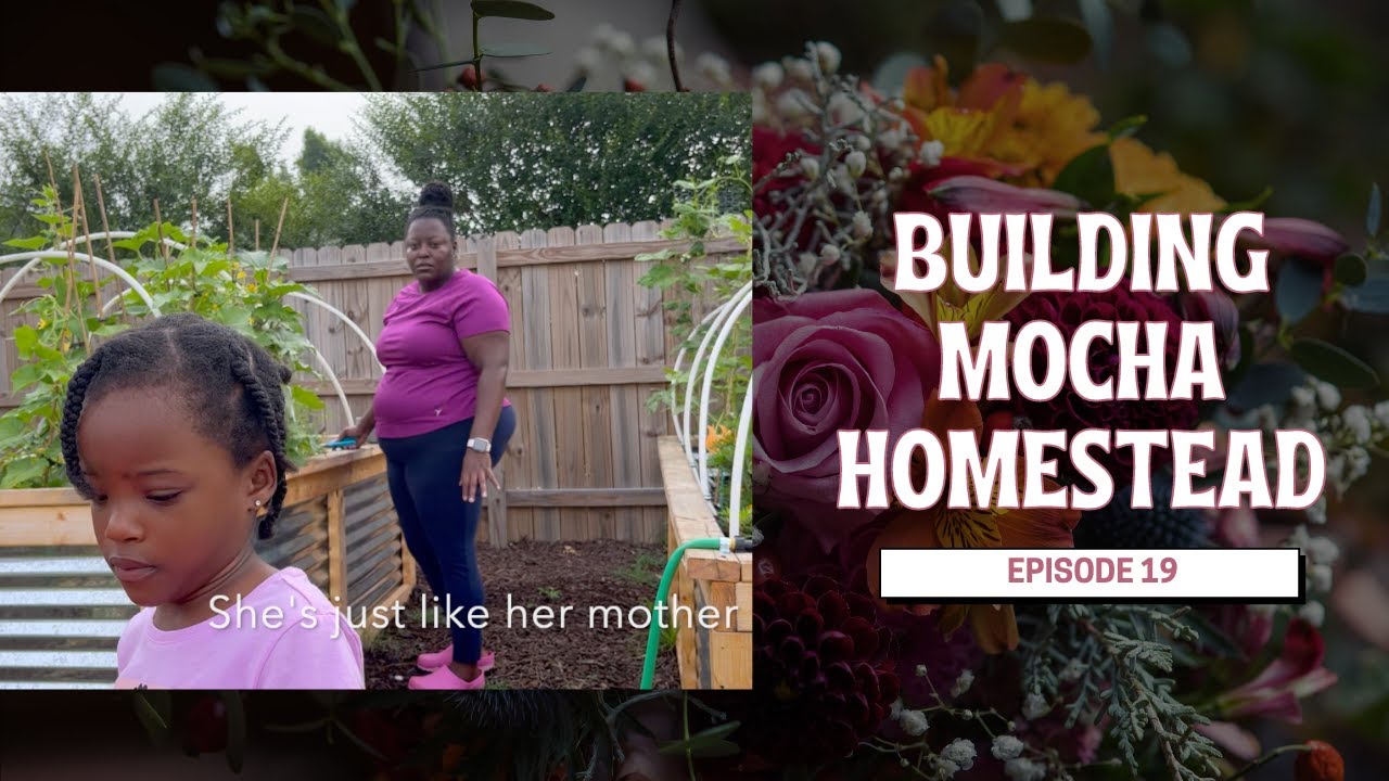 Building Mocha Homestead Episode 21 - YouTube