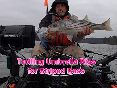 Trolling Umbrella Rigs for Stripers on Lake Rhodhiss NC 1/23/24 - YouTube