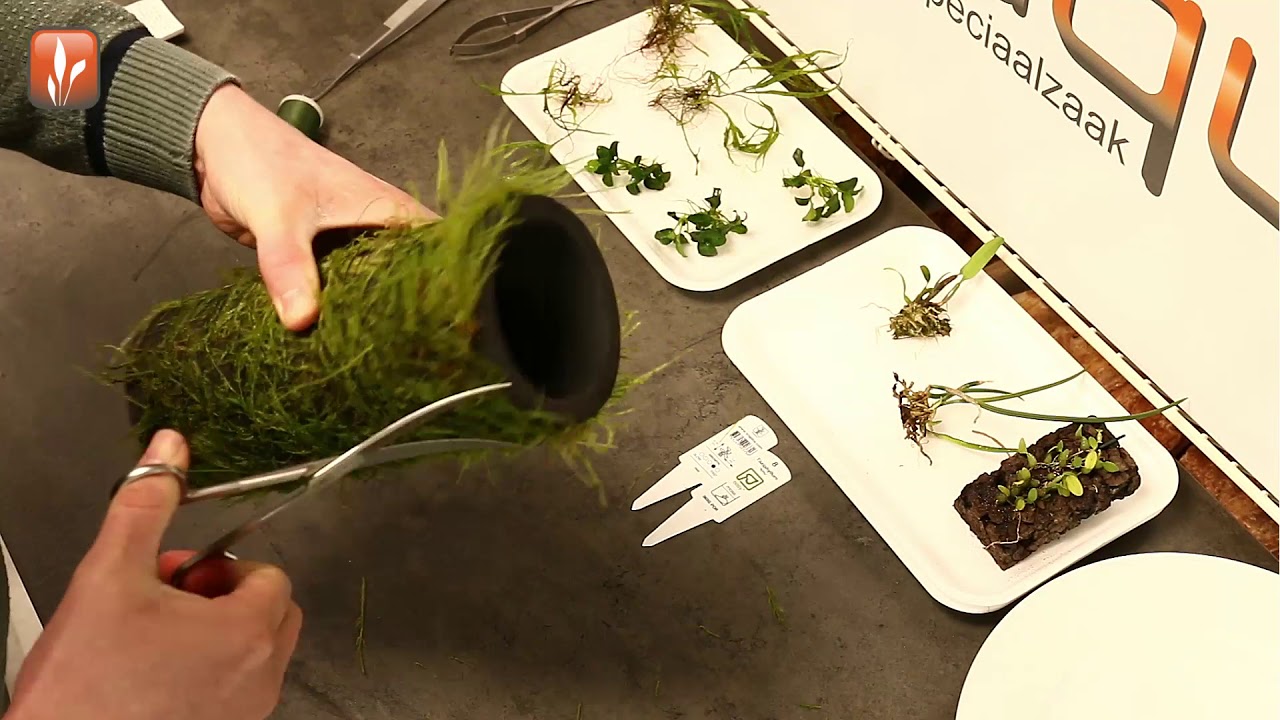 Creating DOOA Terra Base M + Neo Glass Air 20x20x35 - YouTube