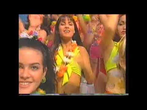 Fantasia Especial de Carnaval Gang do Samba cantando Cada Macaco no Seu Galho