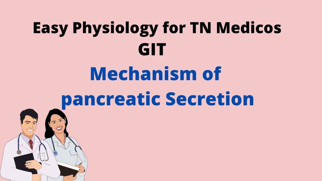 Mechanism of Pancreatic secretion - YouTube