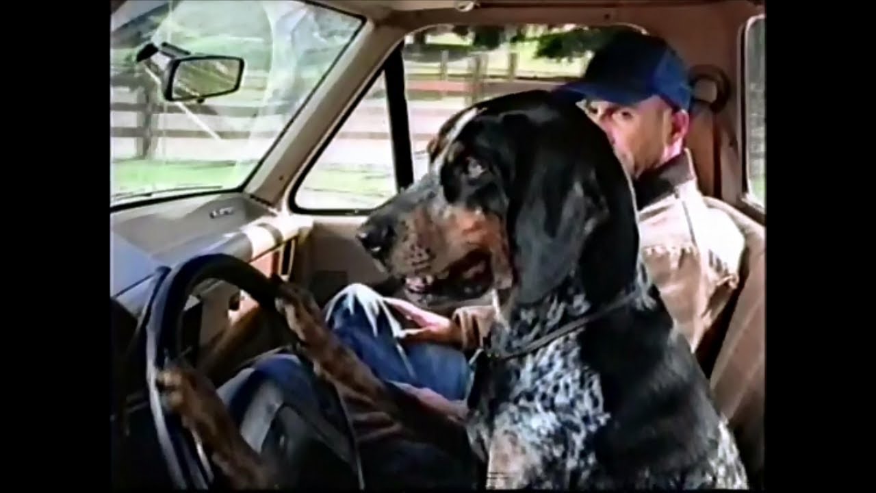 CarFax TV Commercial HD - YouTube