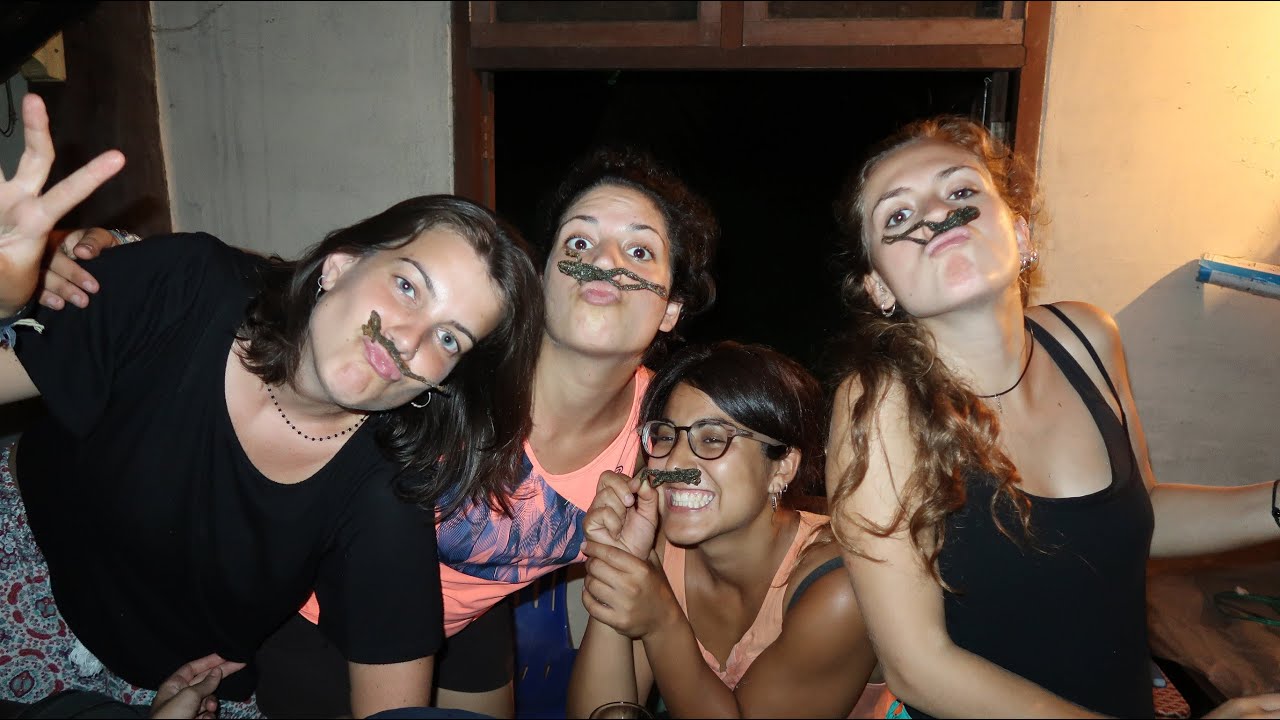 EATING THAI FROGS - Chiang Rai Thailand 2 - YouTube