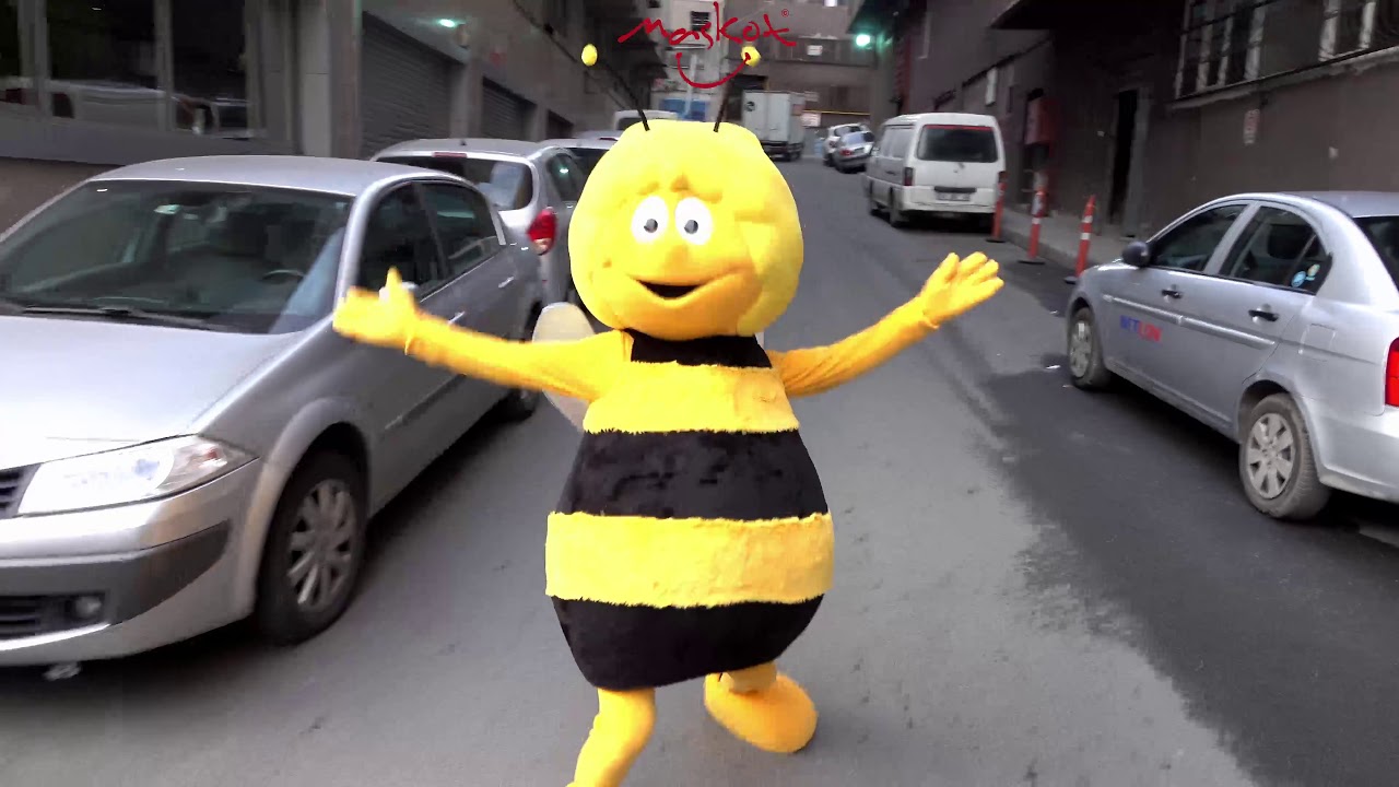 Maya The Bee Mascot - YouTube