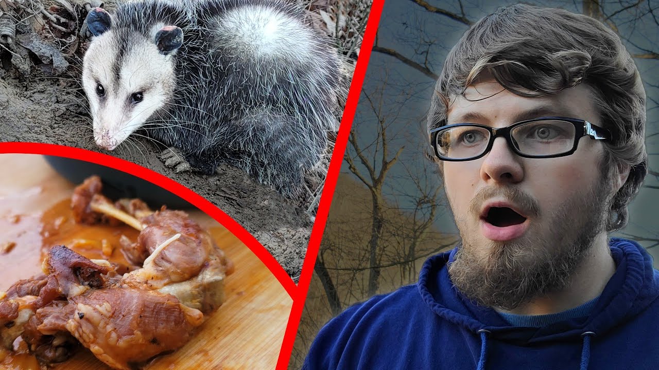He ATE the CHICKENS!! | Opossum Catch and Cook!! - YouTube