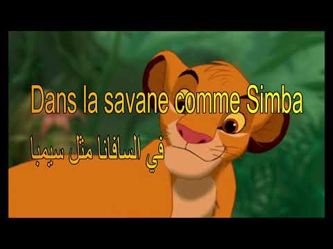 pnl-simba-مترجمة للعربية