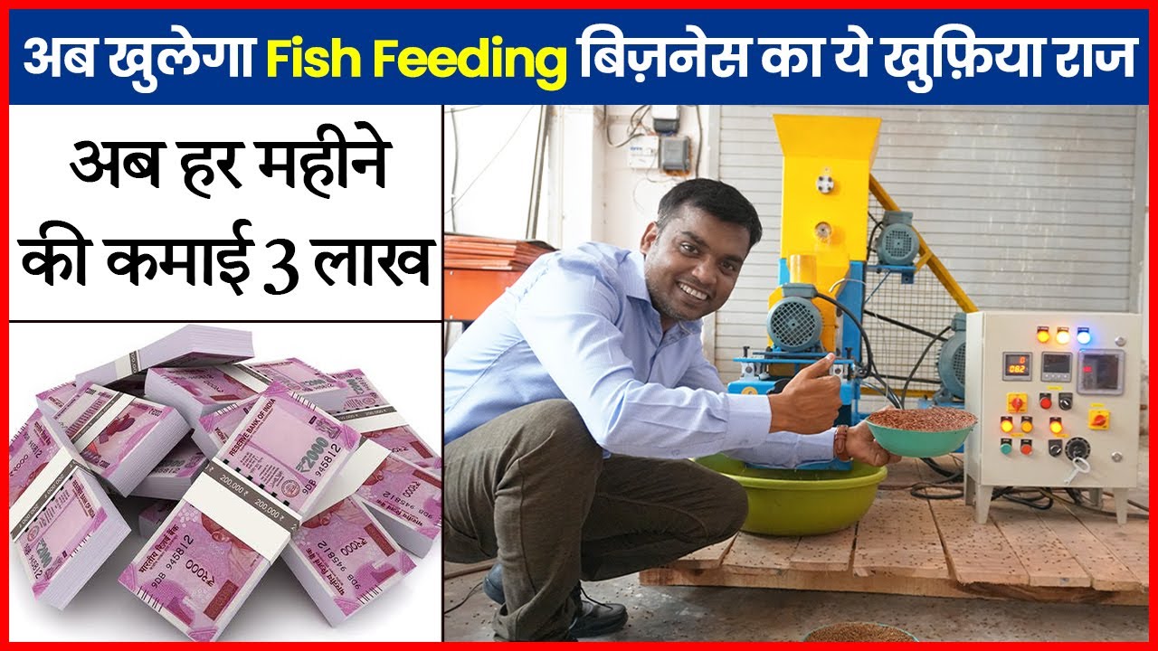 ये छोटी मशीन कर सकती है बड़ा धमाका | Fish Feed Making Machine| Sigmatech Engineering - YouTube