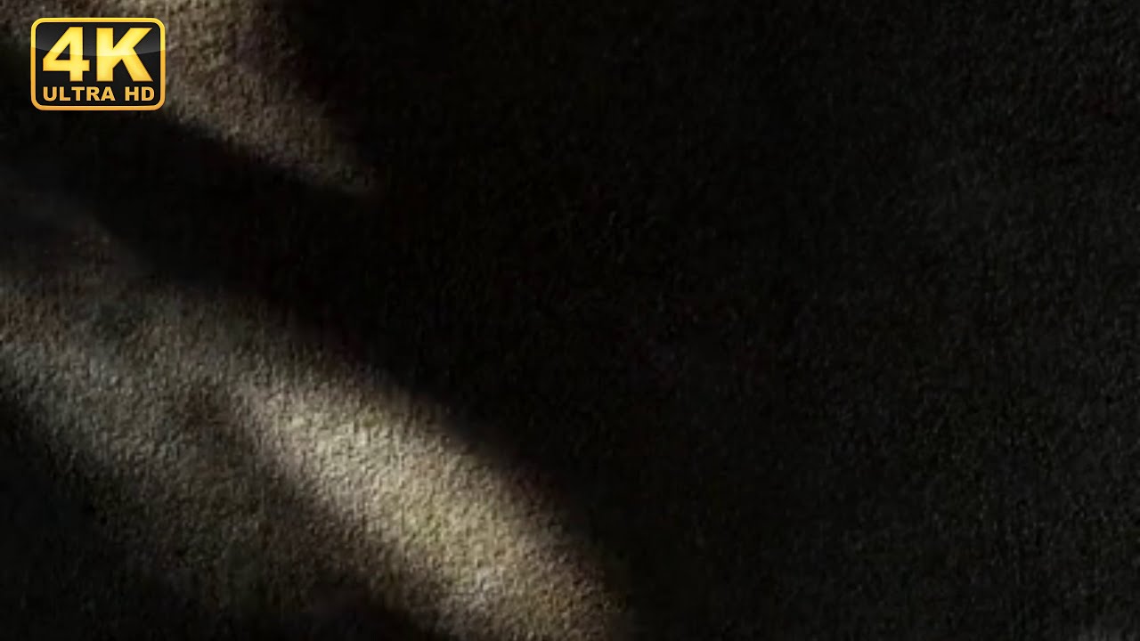 Special Effect of sun stains video loop 4k Effects overlays animation ...