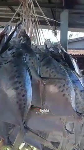 TPI Bayah Saat ini Musim ikan Etem.. #nelayanbayah #ikanlaut - YouTube