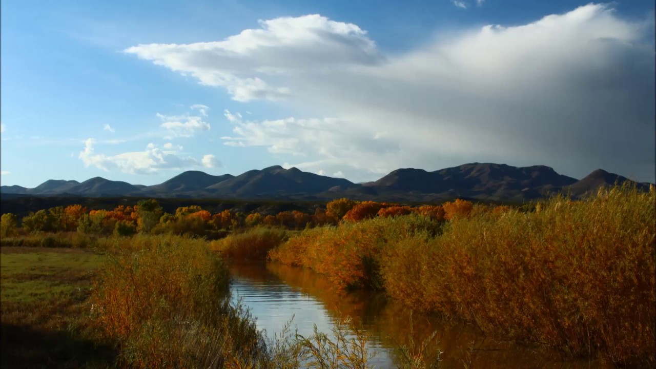 Bosque del Apache sunset - YouTube
