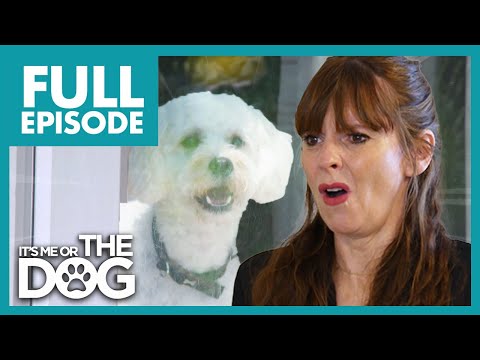 Dog With Separation Anxiety Can't Be Left On His Own | Full Episode 103 | It's Me or the Dog