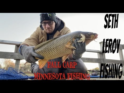 (FALL CARP FISHING) MINNESOTA SETH LEROY FISHING DOWN (SPILLWAY) BY ...