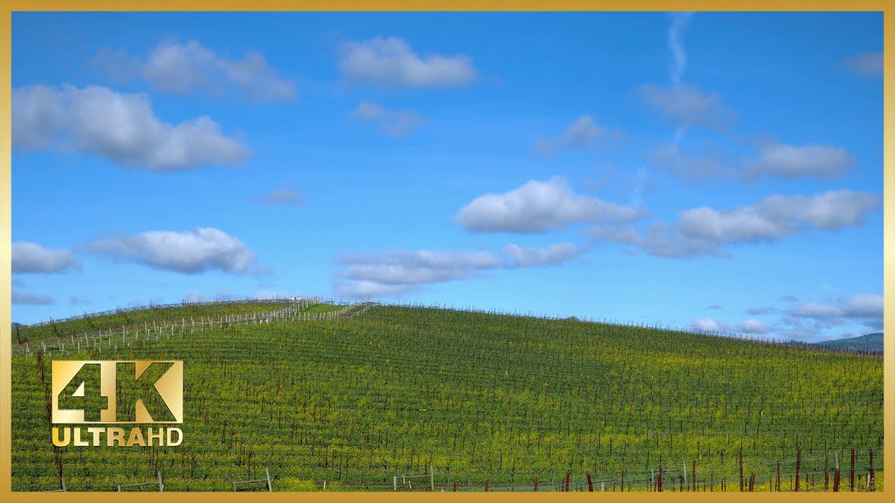 4K Landscapes - Relaxing view of 'Bliss' the Windows XP Desktop - YouTube