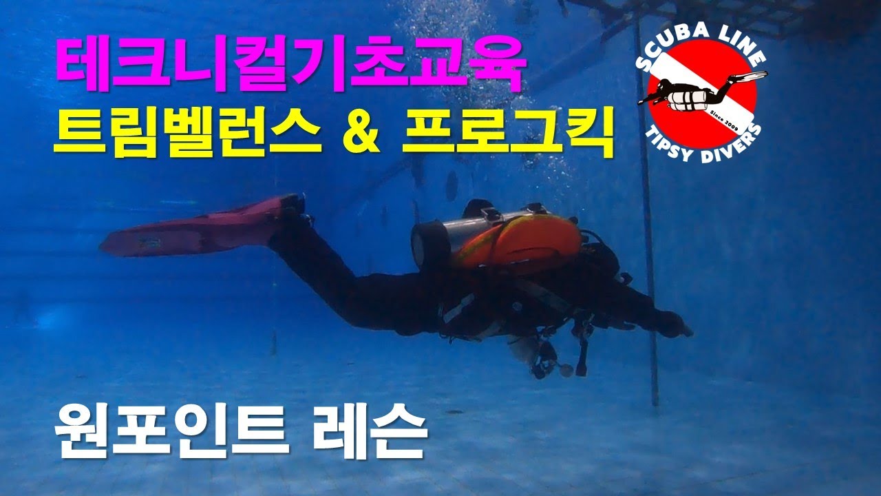 트림벨런스 원포인트교육 테크니컬기초 프로그킥 원데이레슨 당진스킨스쿠버다이브팀 당진스쿠버팀 스쿠버라인 스쿠버다이빙잘하는법