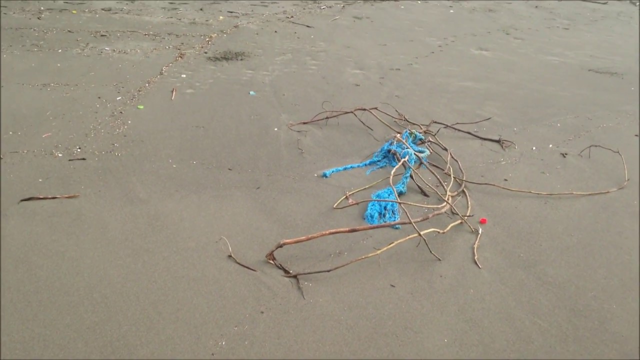 Plastic Beach Pollution in Costa Rica - YouTube