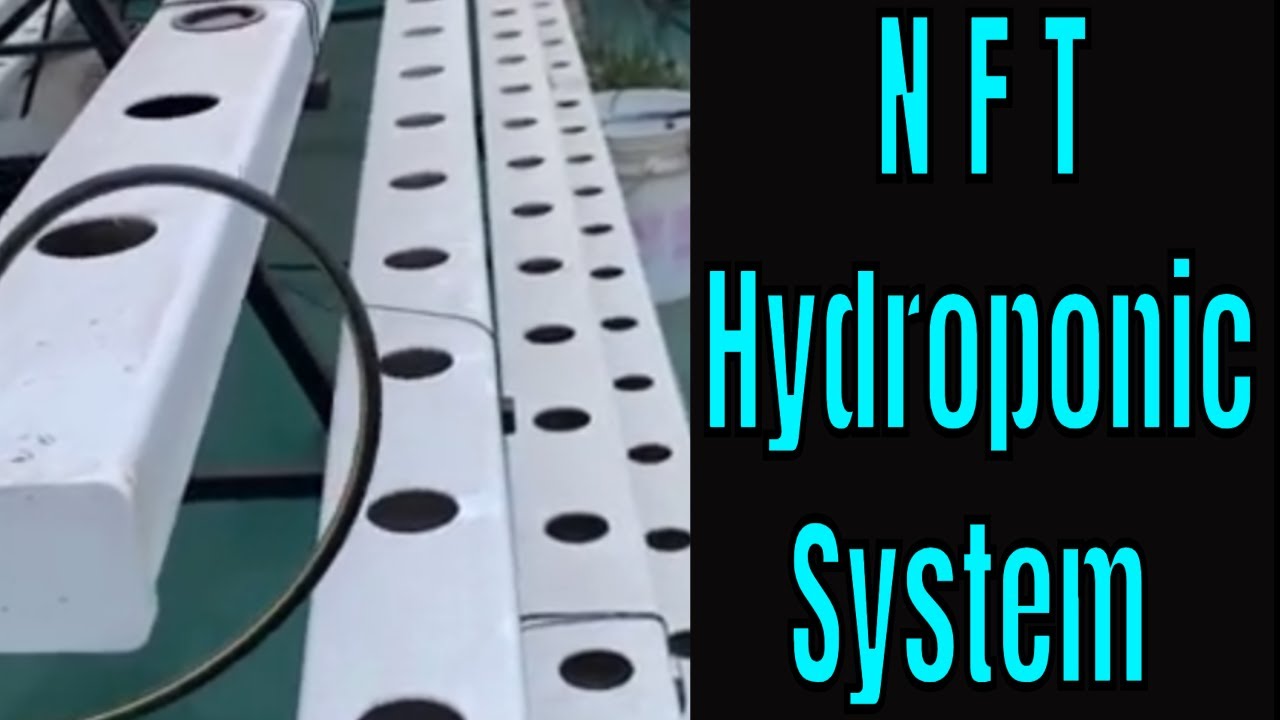 What is NFT Hydroponic System? // A frame NFT set up // Componant ...
