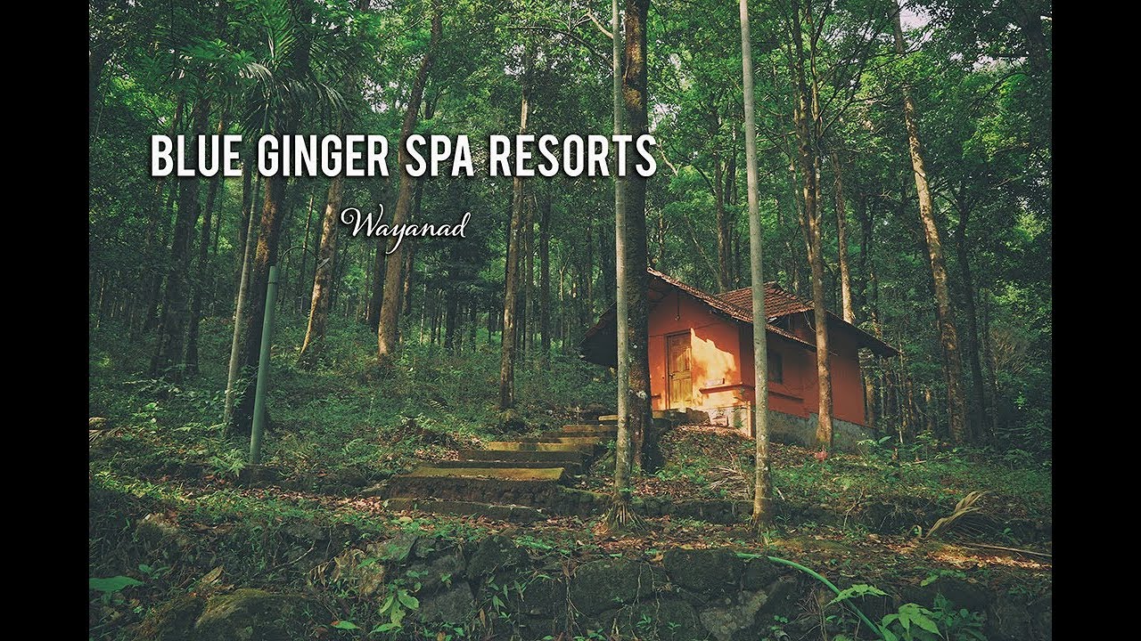 Blue Ginger Spa Resorts| Best of Wayanad | Holiday Spot | HD Video ...