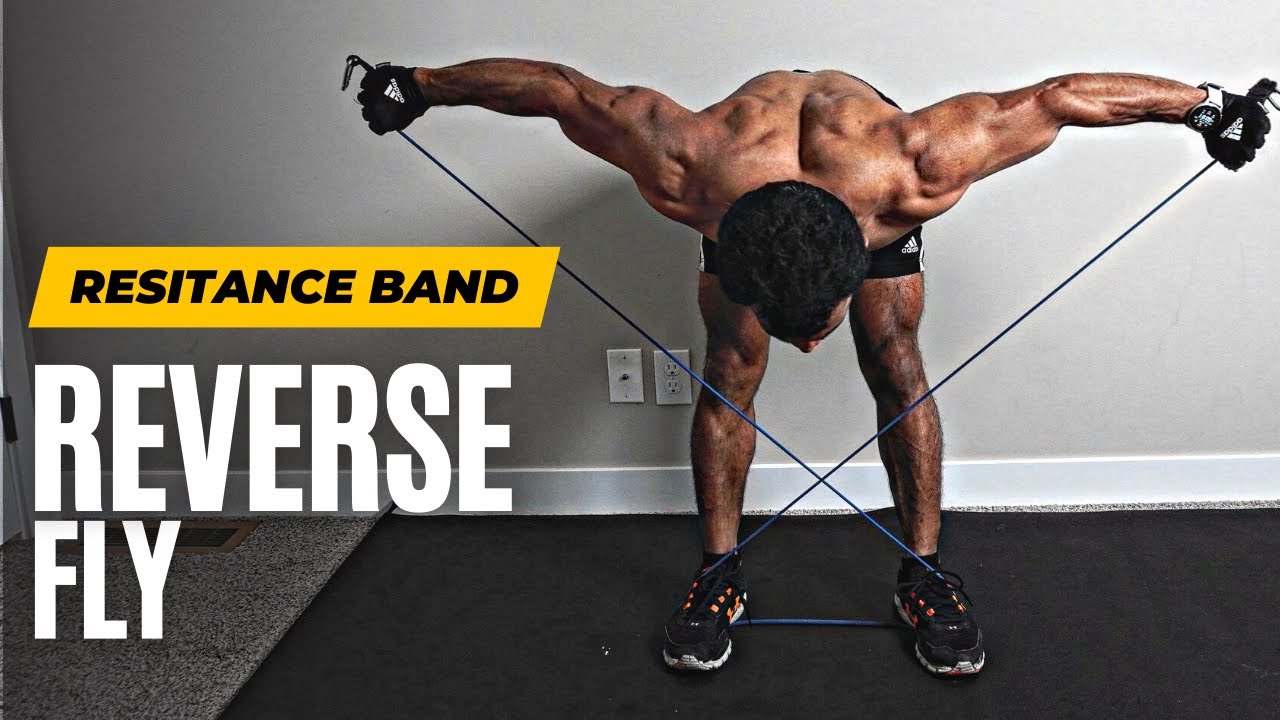 How To Do Reverse Flys With Resistance Band | Shoulder Workout ...