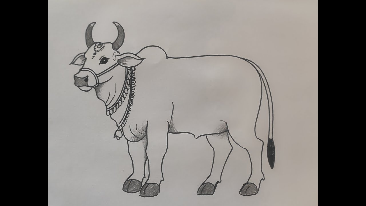 OX DRAWING EASY METHOD || HOW TO DRAW A OX DRAWING || easy ox drawing ...
