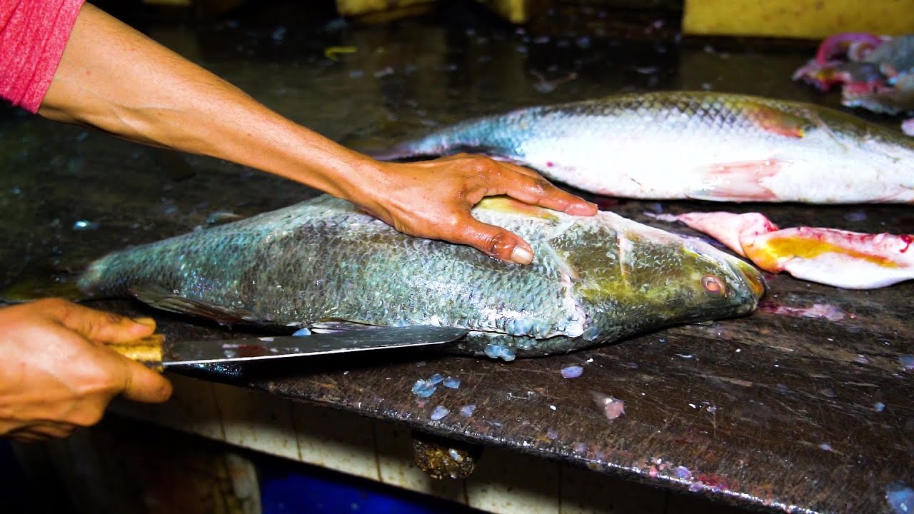 Vetki Fish Cutting Skills Live | Asian Seabass or Giant perch Video ...