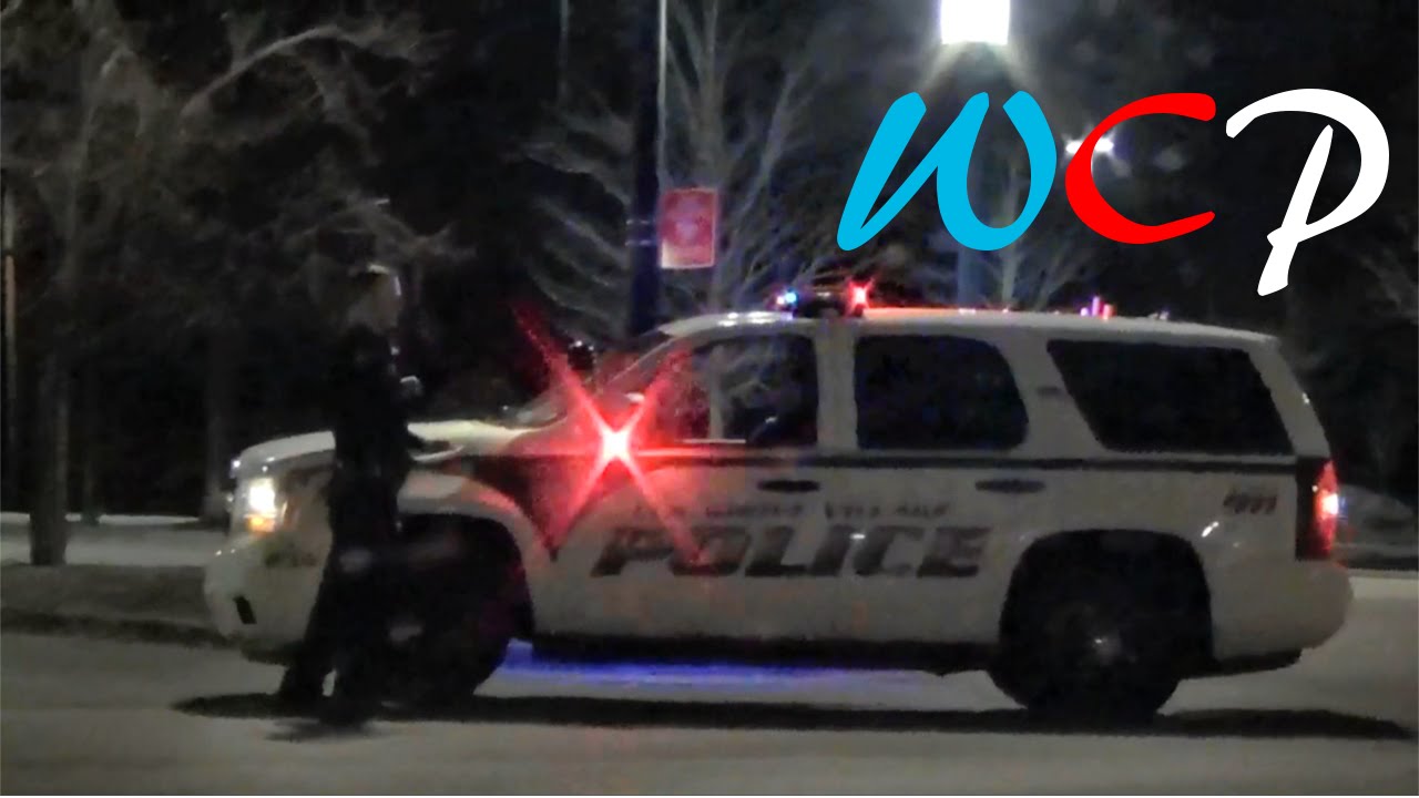 Skunk Prank (Gone Wrong) - YouTube