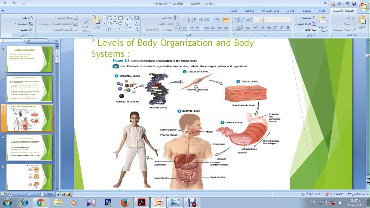 Anatomy 1 part 1 - YouTube