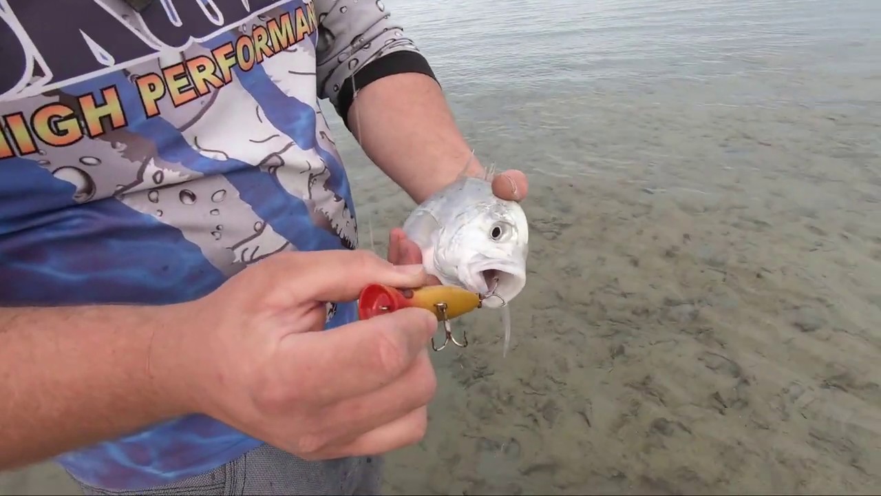 Fishing Exmouth Bundegi Flats - Poppers - plastics - trevally - YouTube