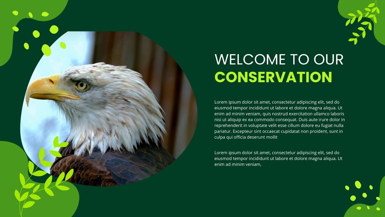 Amazing facts of eagle | eagle photography and biography. - YouTube