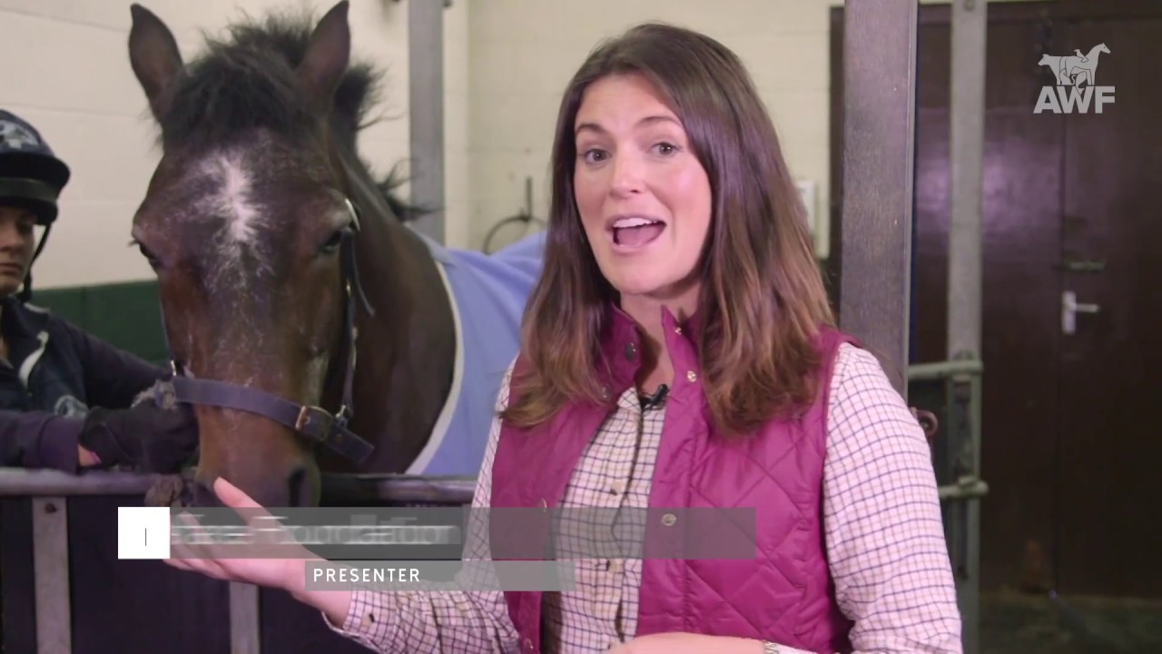 Adele Roche Presenter reel - YouTube
