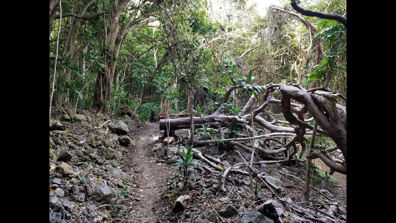 Entire Ohana Trail Loop 4K | Trek Rail 5 eMTB (Downhill Starts at 13:12 ...