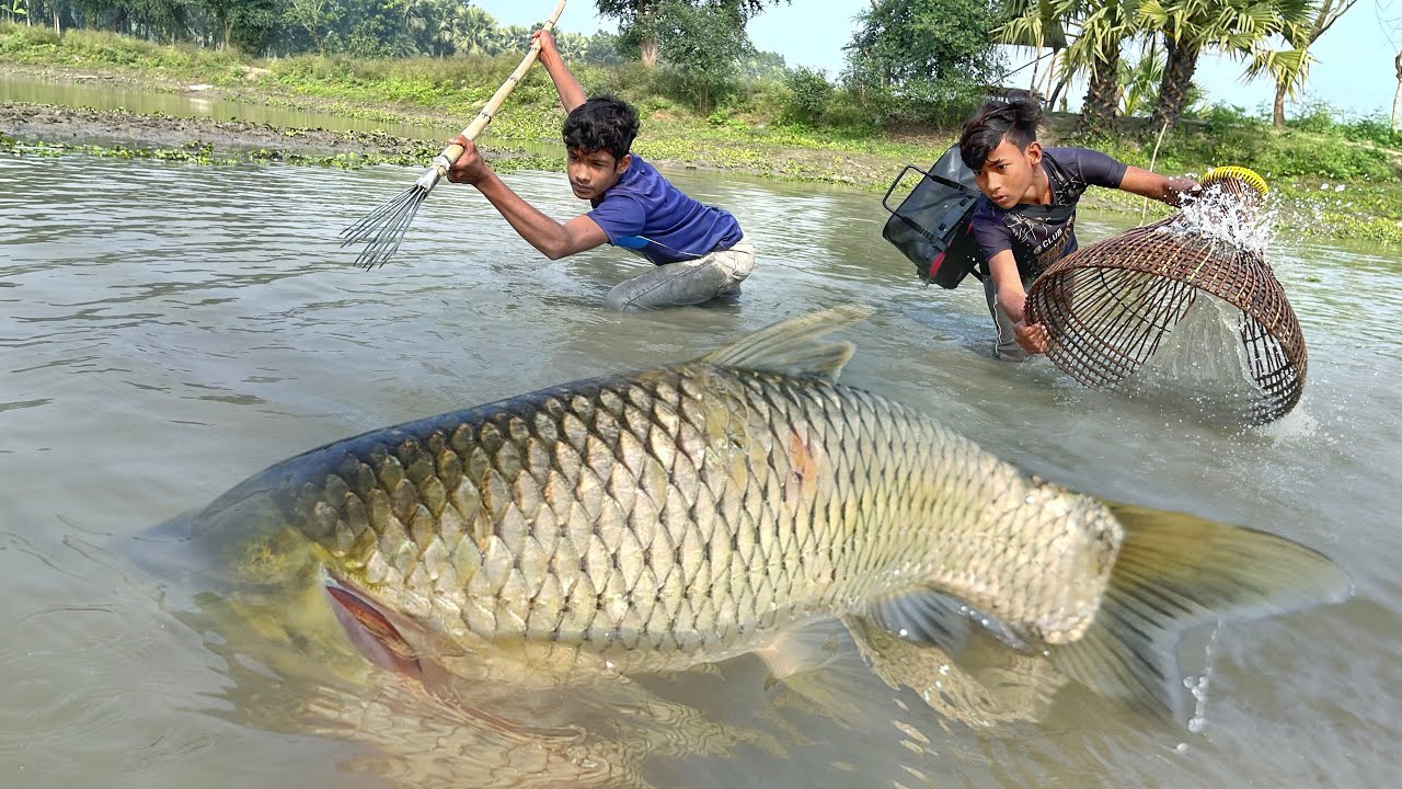 Amazing Boys Catching Fish By Polo And Teta Trap | Traditional Village ...