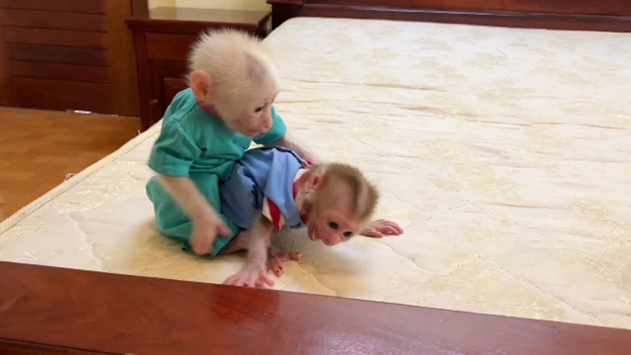 Baby Titas Scream Loud Anqry Bro Pavpav Bi--te Him When Mom Outside ...