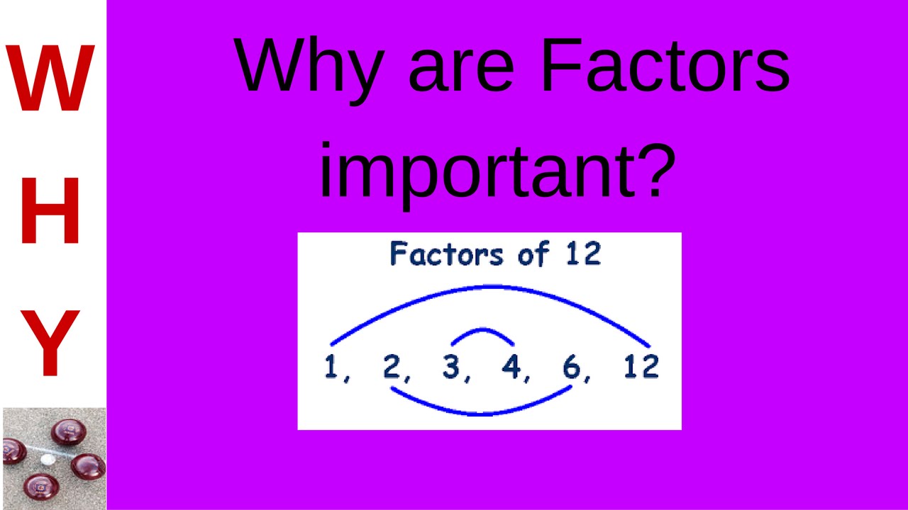 Relevance of Factors - YouTube