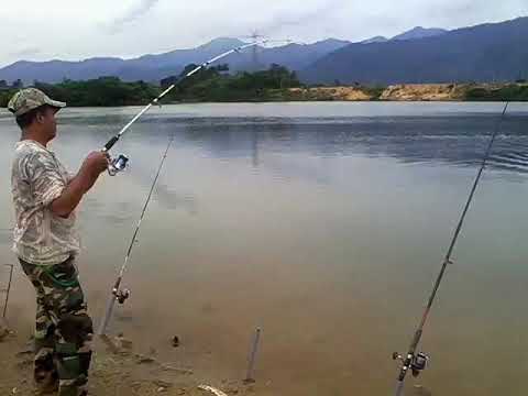 Rohu | Chenderiang,Perak - YouTube
