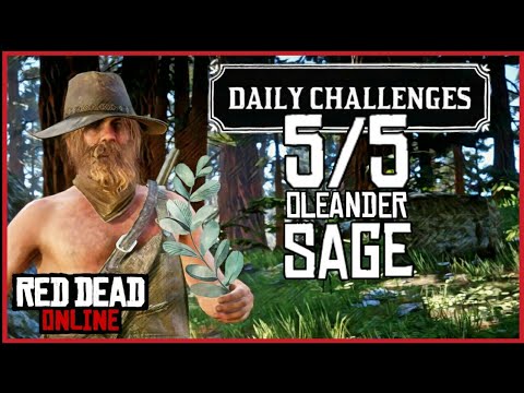 Daily Challenges - 5/5 Oleander Sage Picked I RDR2 Online [Oleander ...