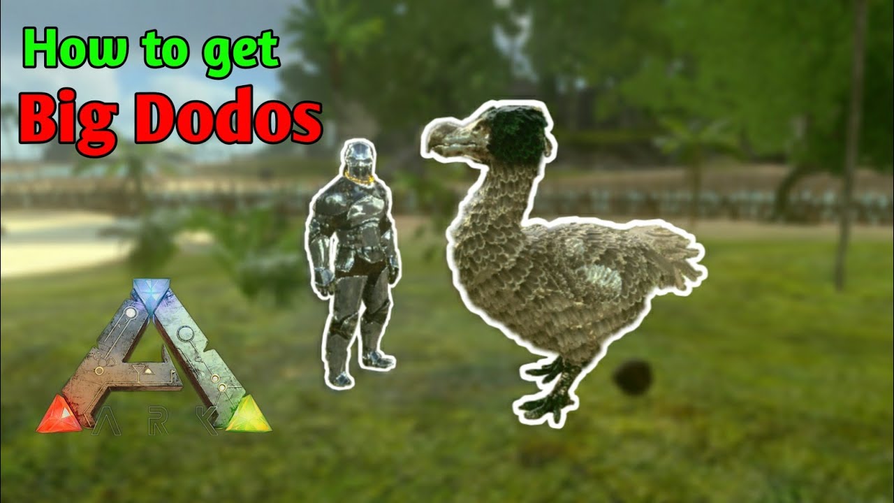 How to get big Dodos in ark mobile | Ash gamerz | Ark mobile - YouTube