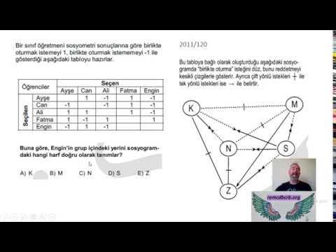 PDR - Sosyometri ve Sosyogram - YouTube