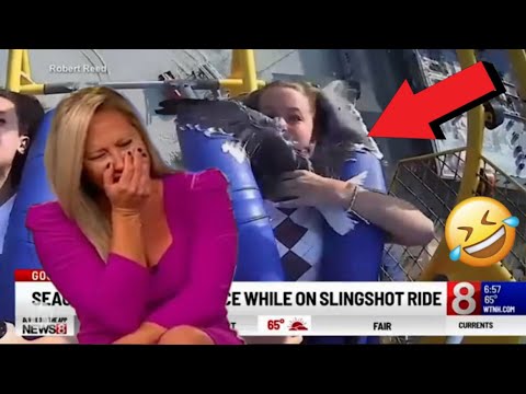 Top 8 News Anchors Can't Stop Laughing. Funniest News Bloopers 2024 ...