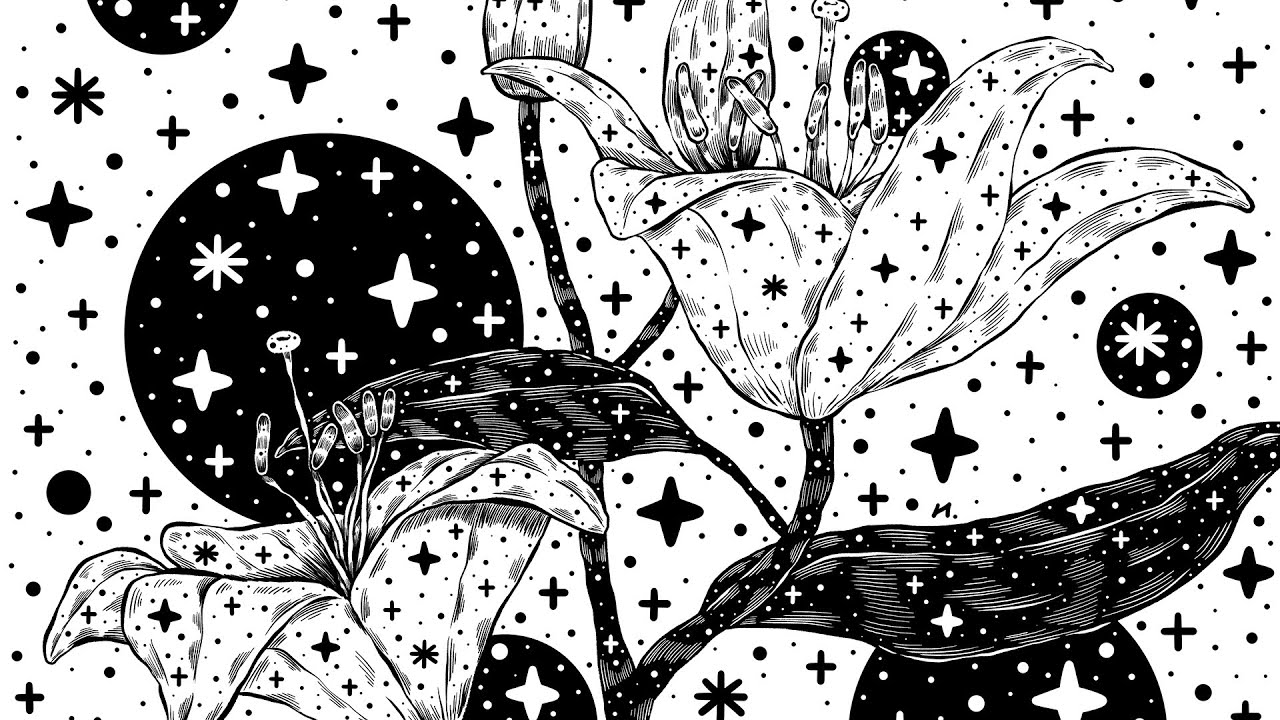 Shining lily 1 - YouTube