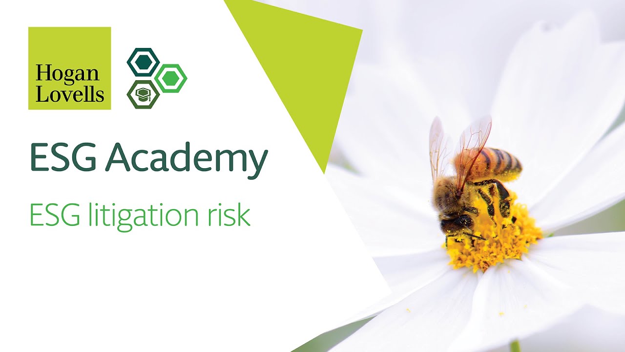 ESG Academy: ESG litigation risk - YouTube
