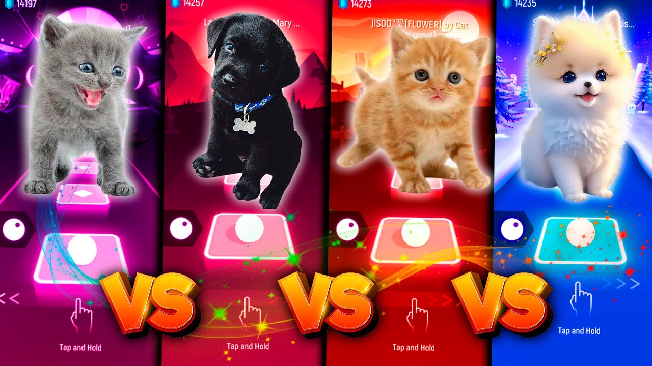 CUTE CAT DANCE MONKEY & CUTE DOG LADY WEDNESDAY & CUTE CAT JISOO FLOWER & CUTE DOG SHAKIRA WAKA ...