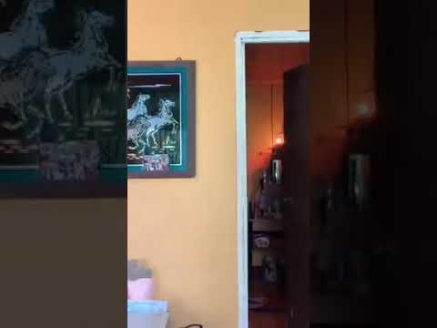 #janganlupasubscribe                                            tik tok bugil sexi