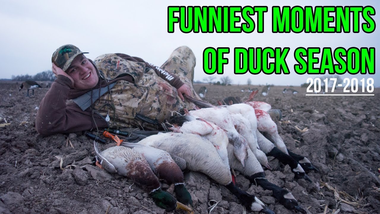 The Funniest Moments Of Duck Season - YouTube