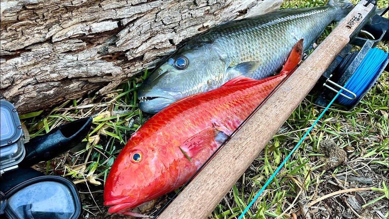 Spearfishing DEEP Reef for Uku, Weke Nono, And More! | Ft. Mattytaks ...