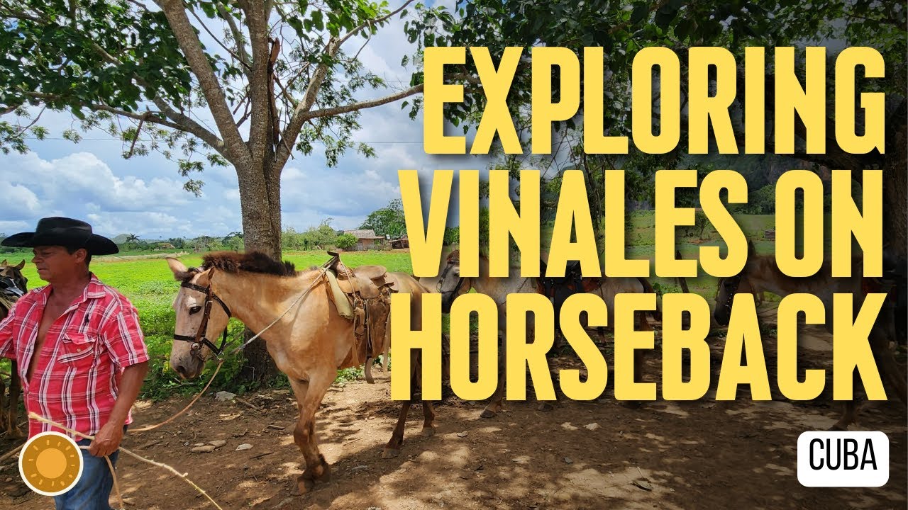 Viñales Valley Horseback Ride | Cuba's Scenic Countryside - YouTube