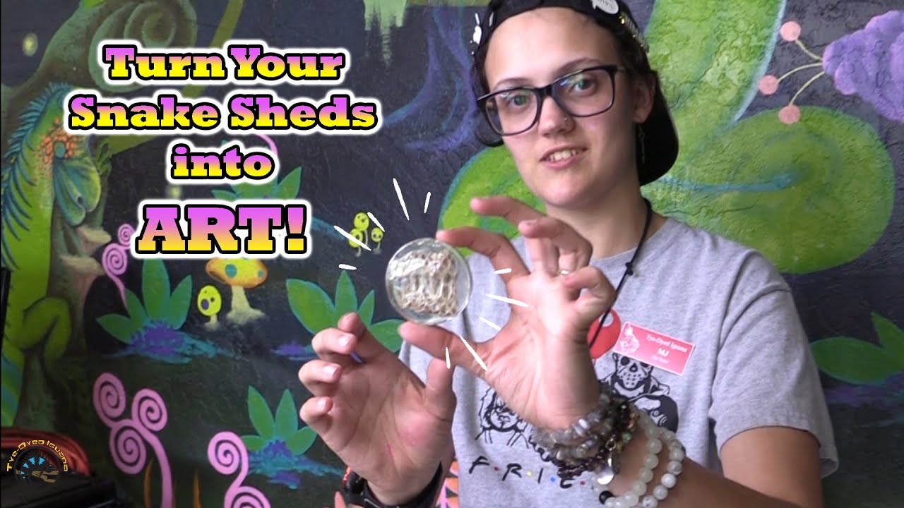 How to Turn Your Snake's Shed Skin into A Beautiful Work of Art! 🐍 ...
