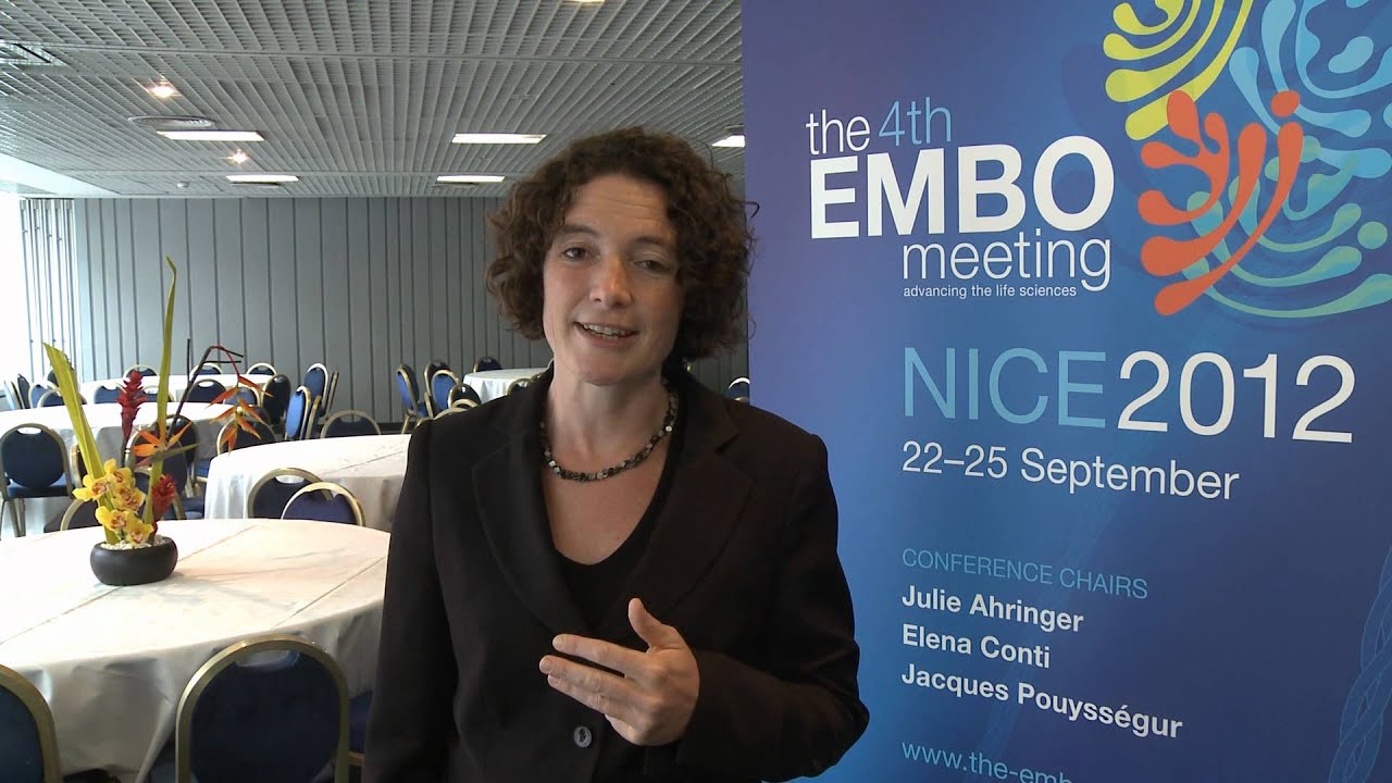 Successful applications - Five tips how to boost your career - YouTube