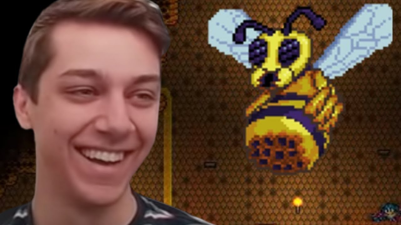 CJYA finds the bees - YouTube