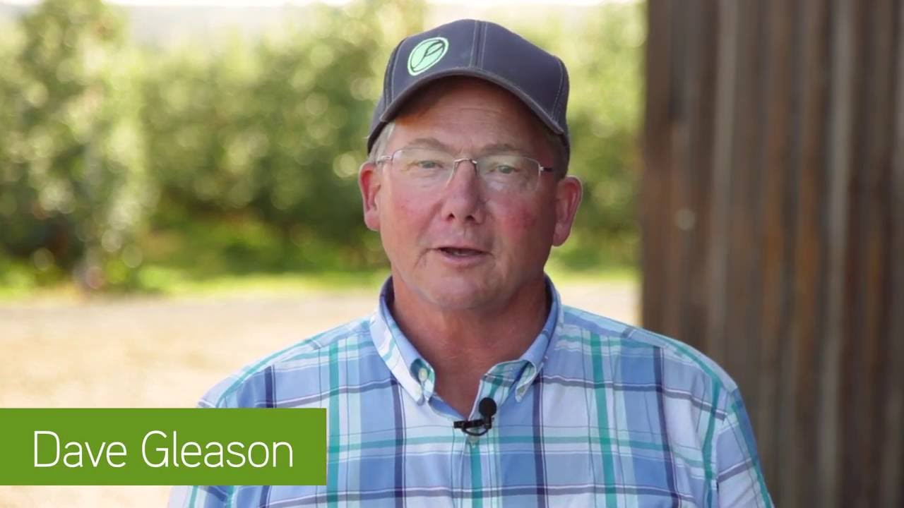 Orchard Update with Dave Gleason - August 2016 - YouTube