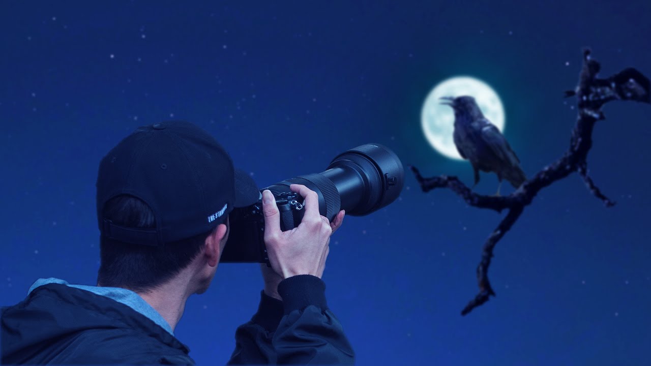 Photographing 10,000 Crows in the Middle of the Night - YouTube